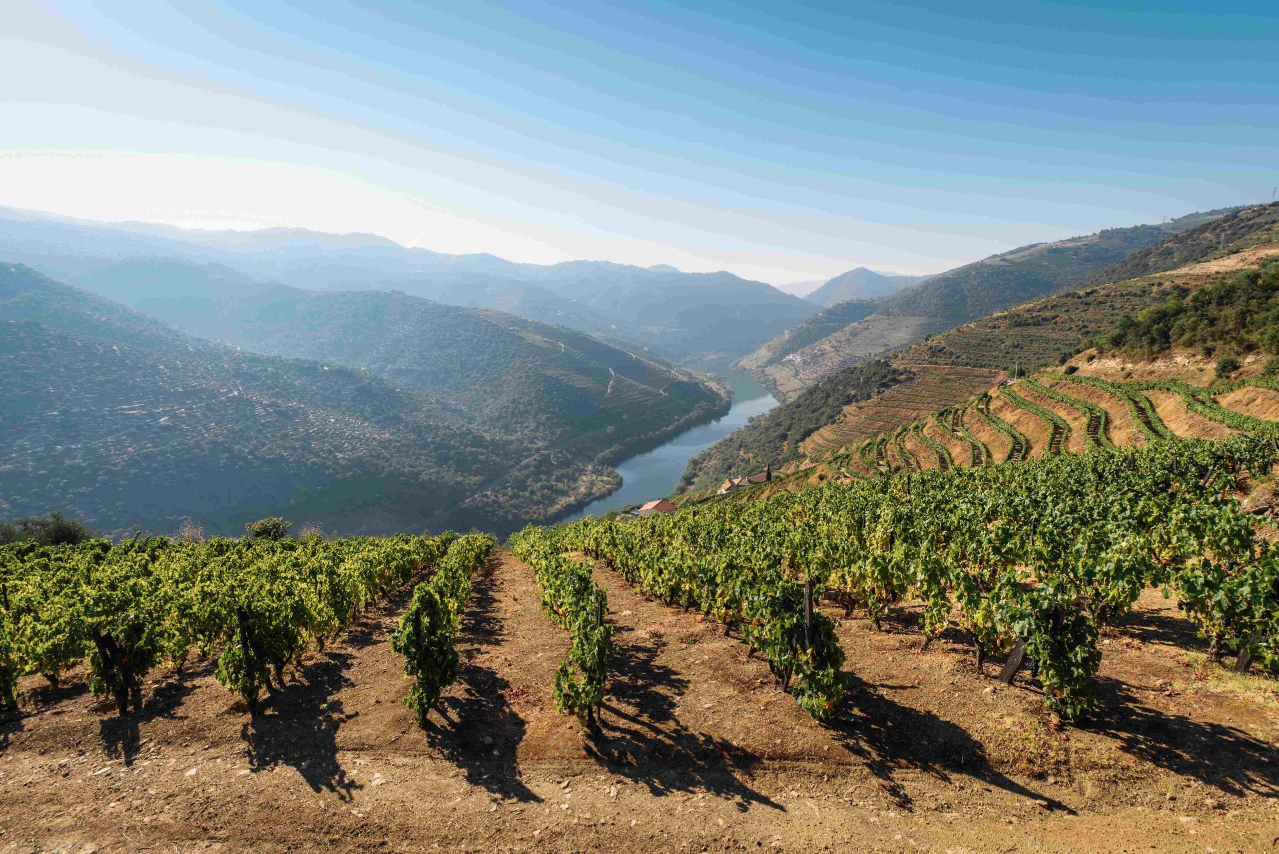 Extra activities for Douro wedding guests – Douro Weddings